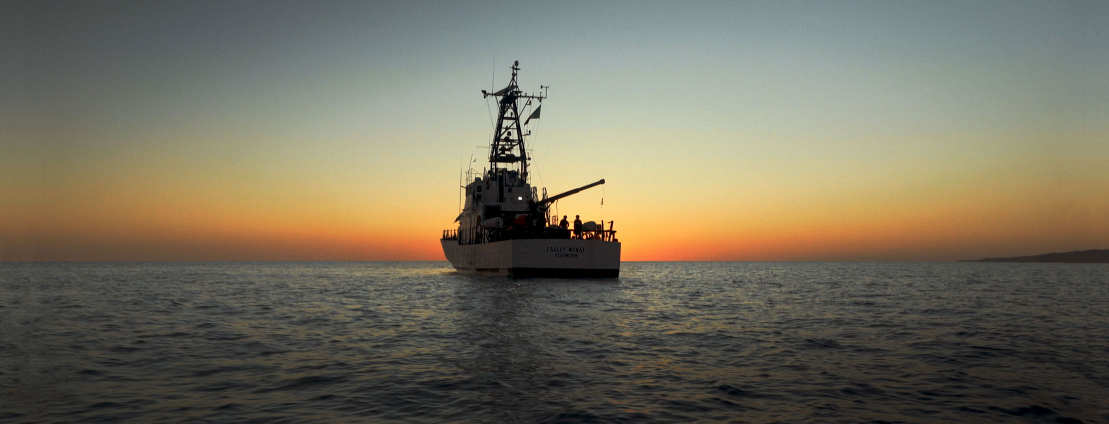 We are making a Sea Shepherd documentary - Under the Skin of Endangered ...