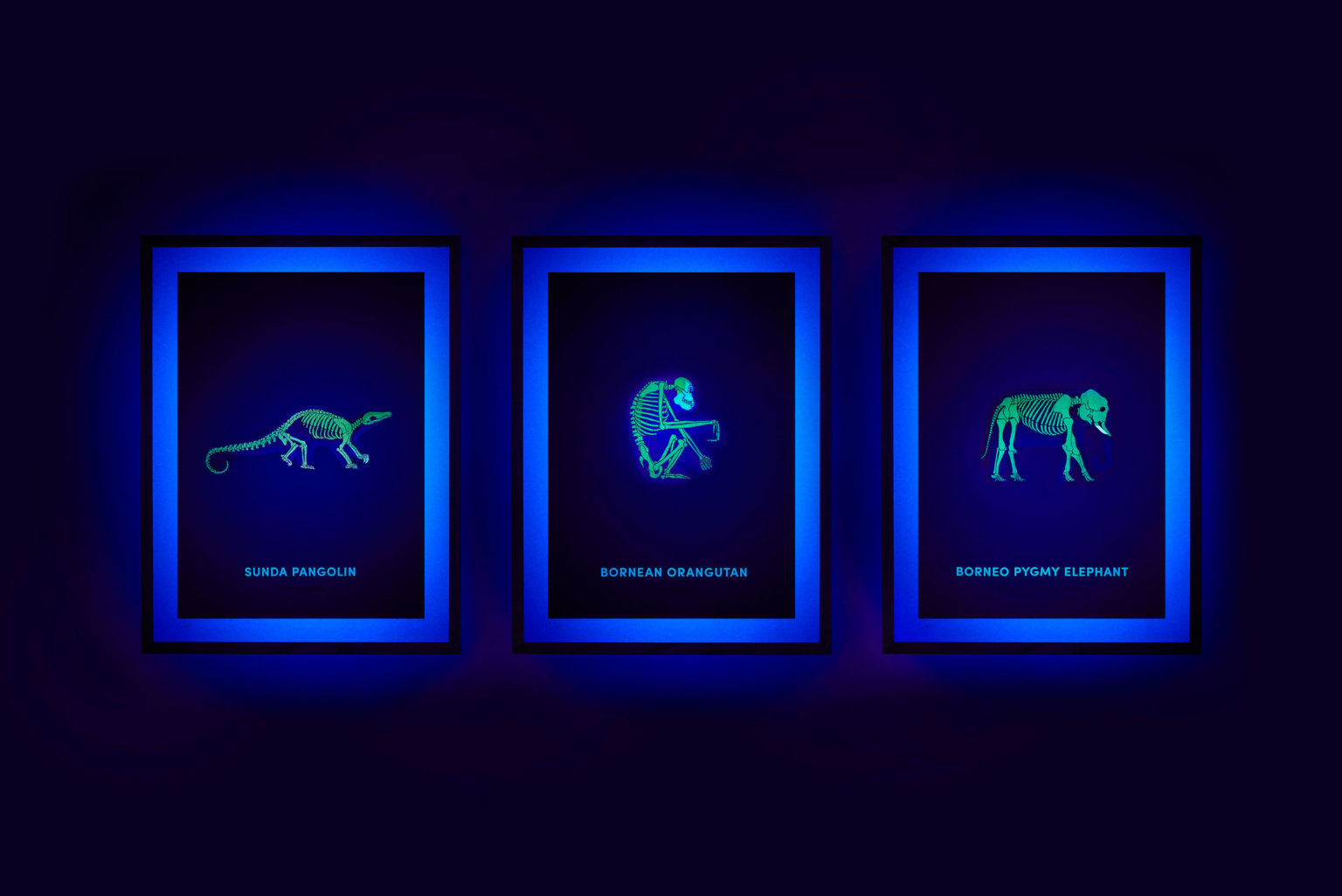 The Wallace Series - Under the Skin of Endangered Animals